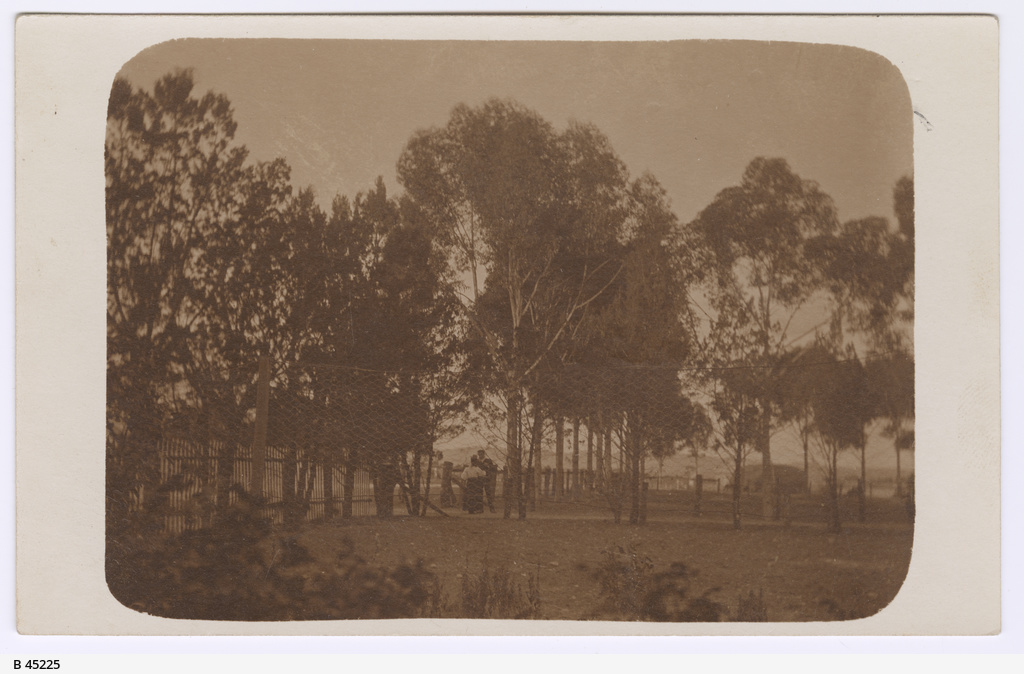 Freeling • Photograph • State Library of South Australia