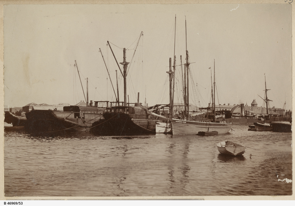 Album of photographs of the Radcliffe family and their surrounds ...