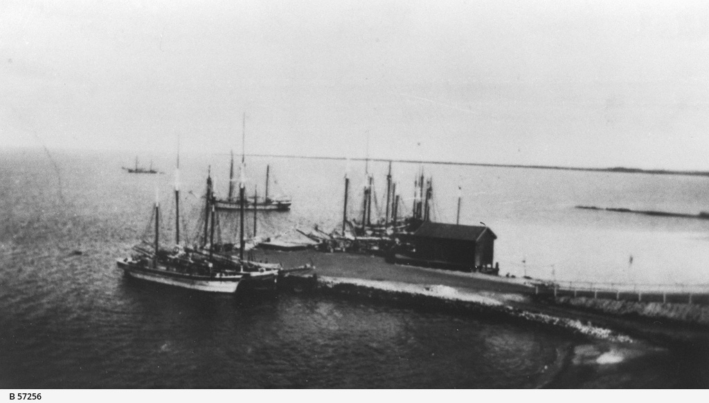 Pine Point harbour • Photograph • State Library of South Australia