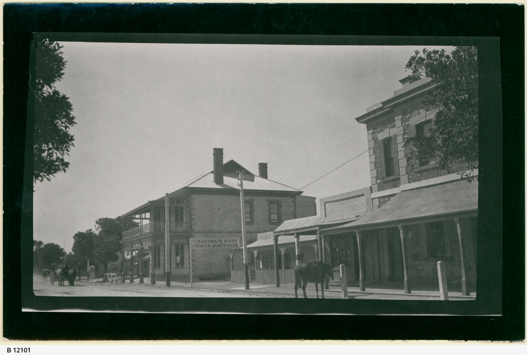 Tanunda • Photograph • State Library of South Australia