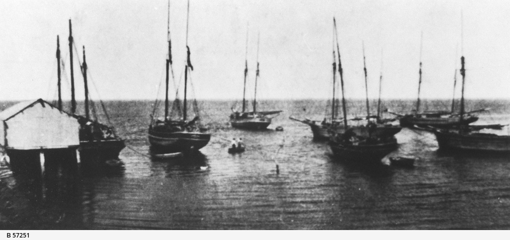 Shipping at Pine Point • Photograph • State Library of South Australia