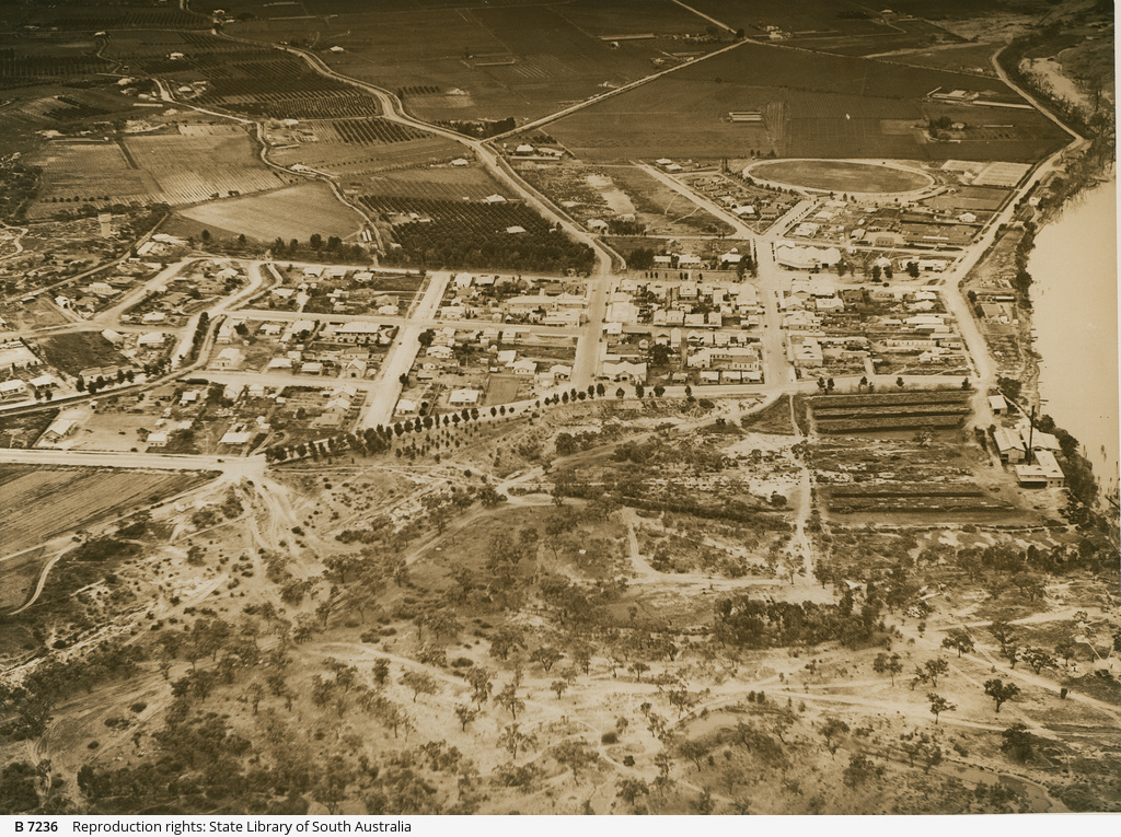 Berri • Photograph • State Library of South Australia