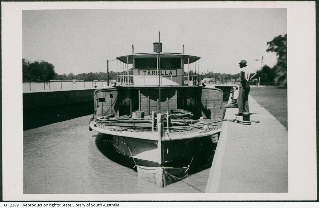"Tarella" at Blanchetown Lock • Photograph • State Library of South ...