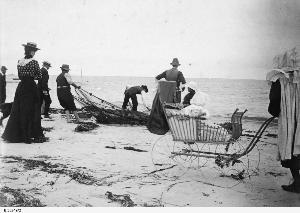 People on Port MacDonnell Beach • Photograph • State Library of South ...