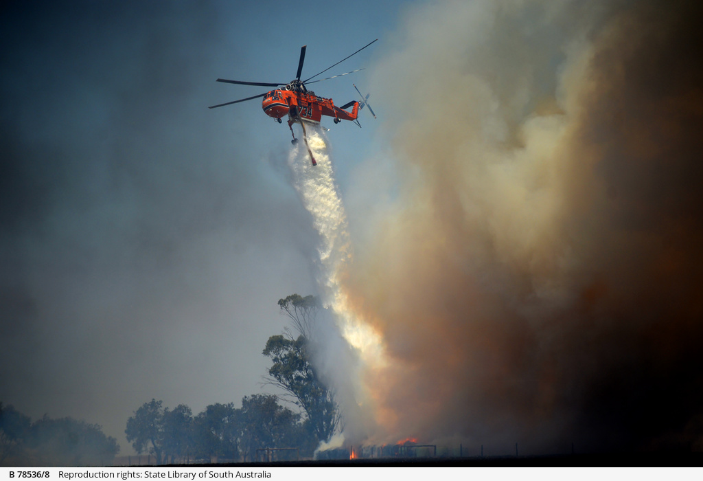 Kangaroo Island bushfire • Photograph • State Library of South Australia