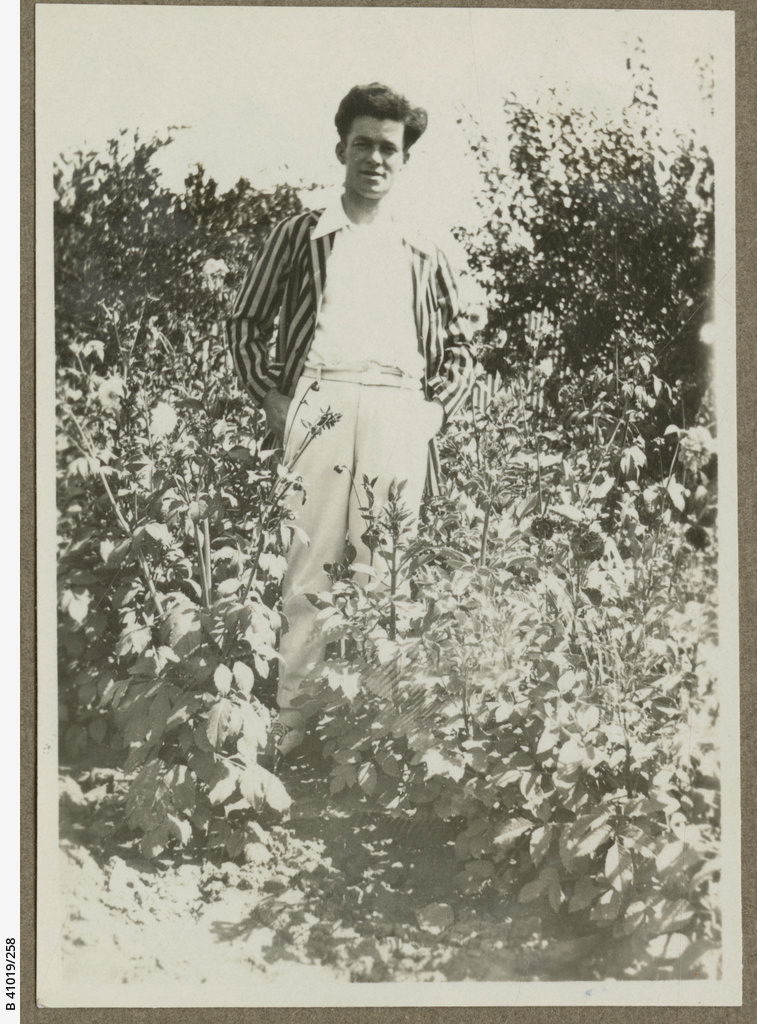 Unidentified male • Photograph • State Library of South Australia