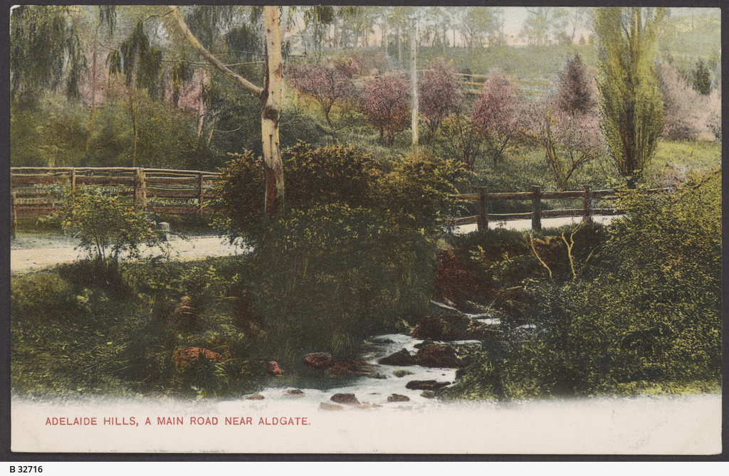 Aldgate. Main Road • Photograph • State Library of South Australia