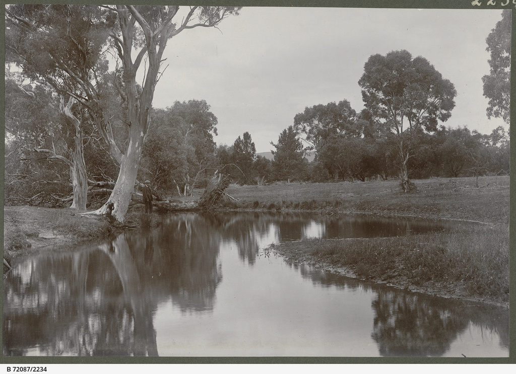 Photographs: [views of the northern Flinders Ranges] Volume 12 ...