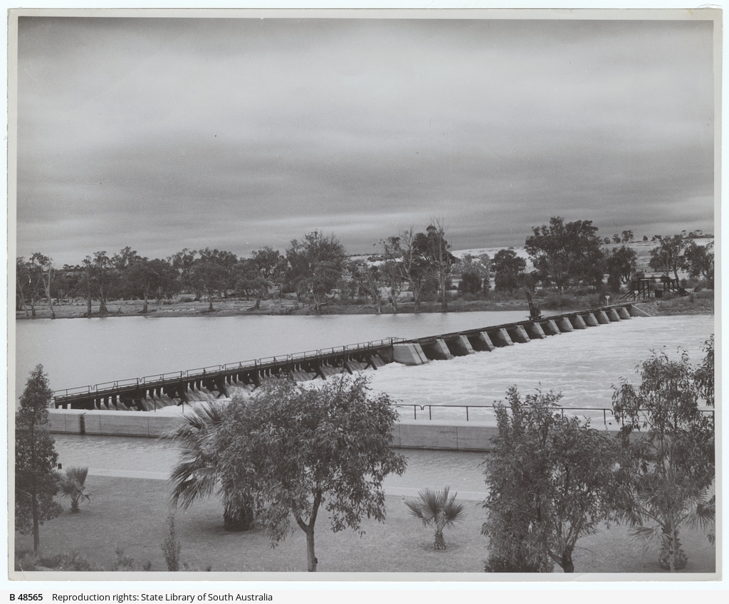 Lock 1 at Blanchetown • Photograph • State Library of South Australia