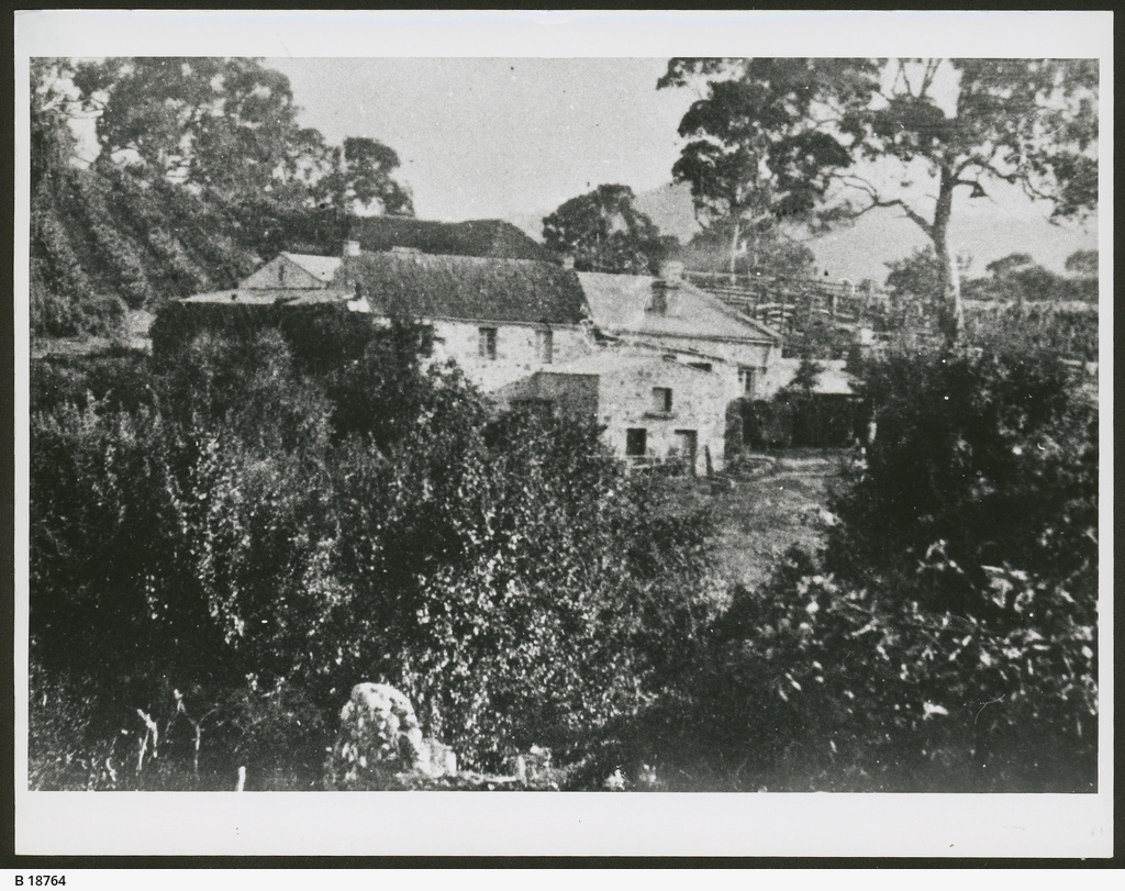 "Springfield", Mt. Crawford • Photograph • State Library of South Australia