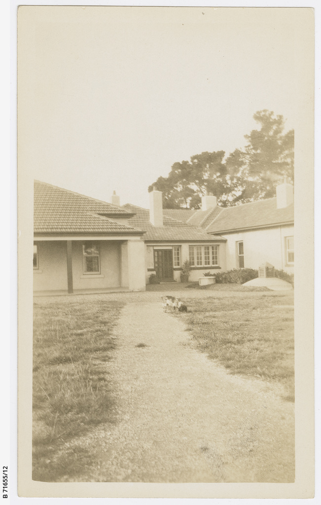 Mount William Station, Victoria • Photograph • State Library of South ...