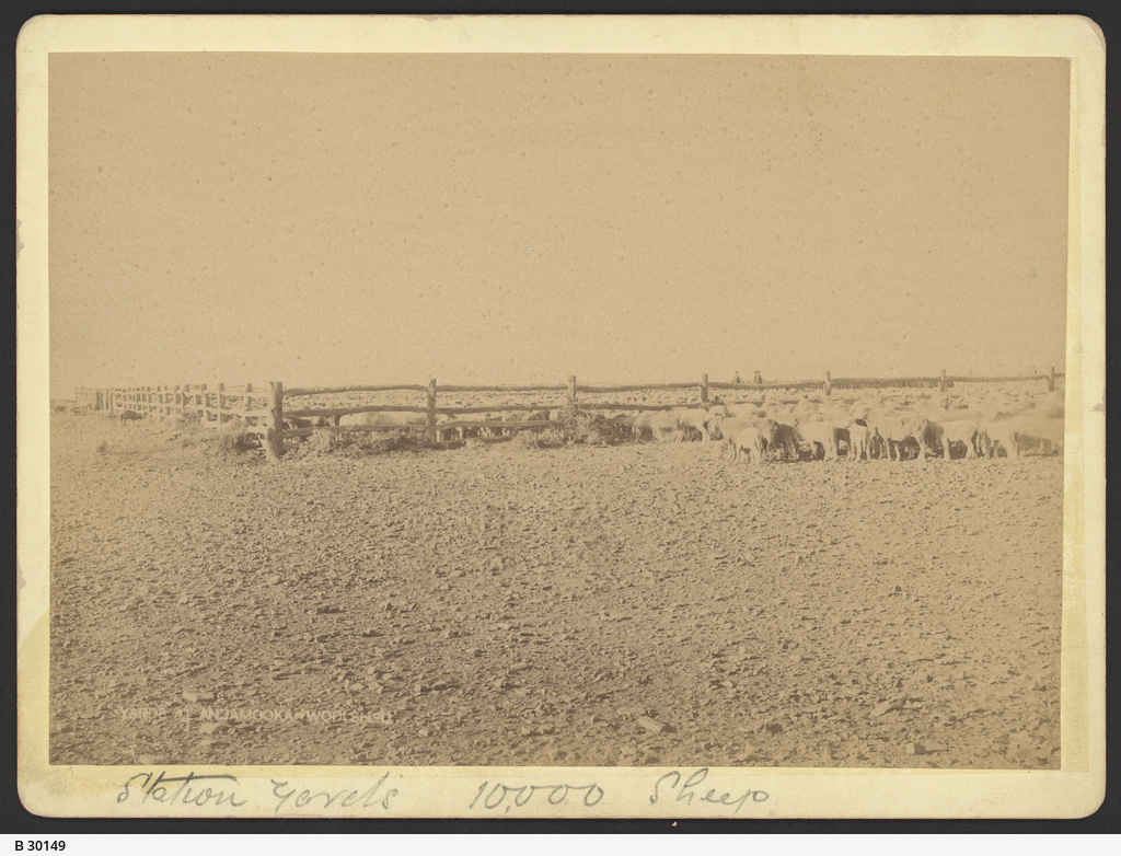 Stock Yard, Andamooka Station • Photograph • State Library of South ...