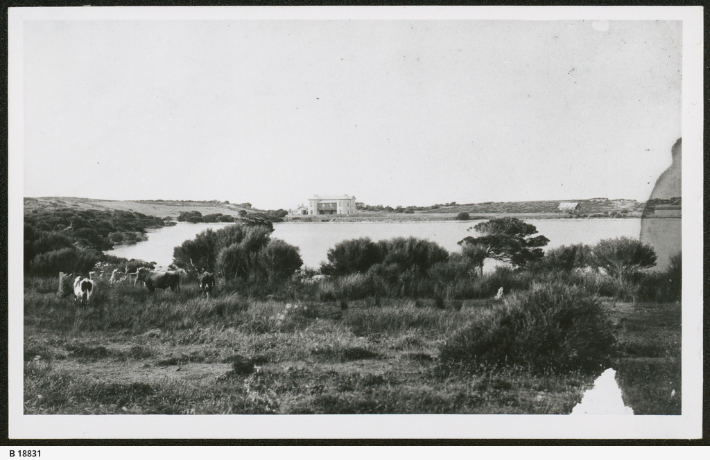 Karatta house, Robe • Photograph • State Library of South Australia