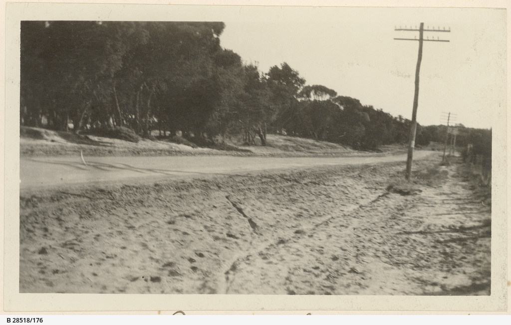 Cheltenham, Victoria • Photograph • State Library of South Australia