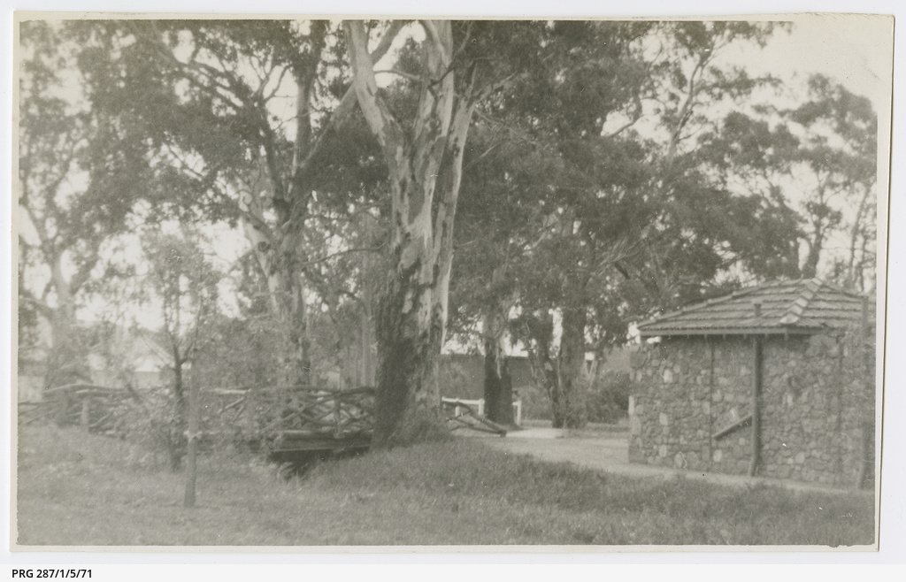 'In Tusmore Park' • Photograph • State Library of South Australia