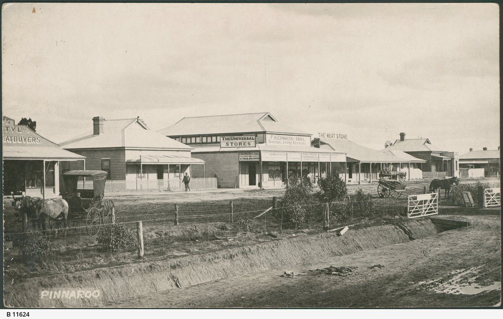 Pinnaroo • Photograph • State Library of South Australia