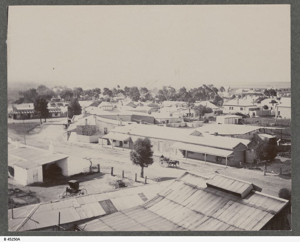Freeling • Photograph • State Library of South Australia