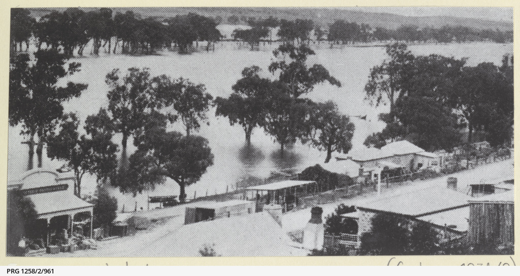 Mannum recreation ground during 1890 flood • Photograph • State Library ...
