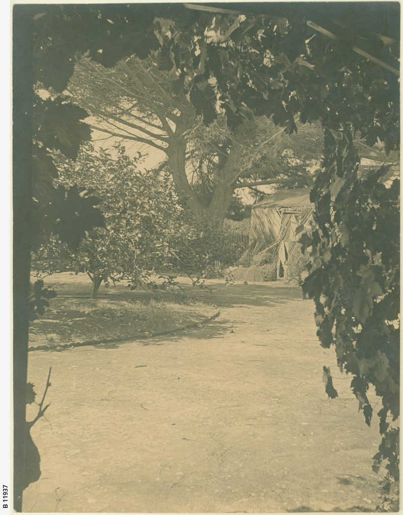 St. Serf's, Somerton Park • Photograph • State Library of South Australia