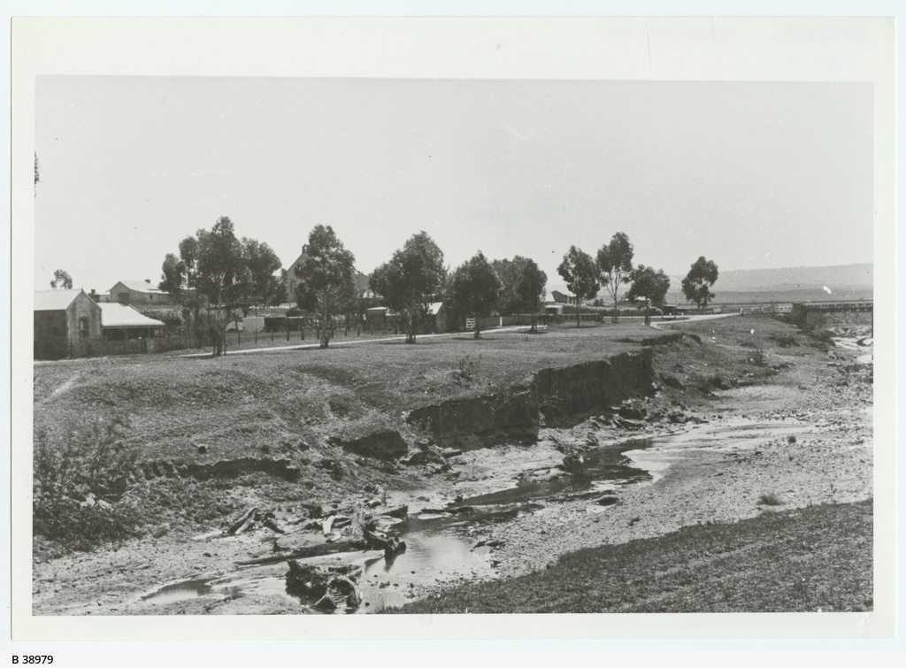 Callington • Photograph • State Library of South Australia