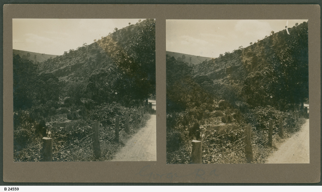 Gorge Road • Photograph • State Library of South Australia
