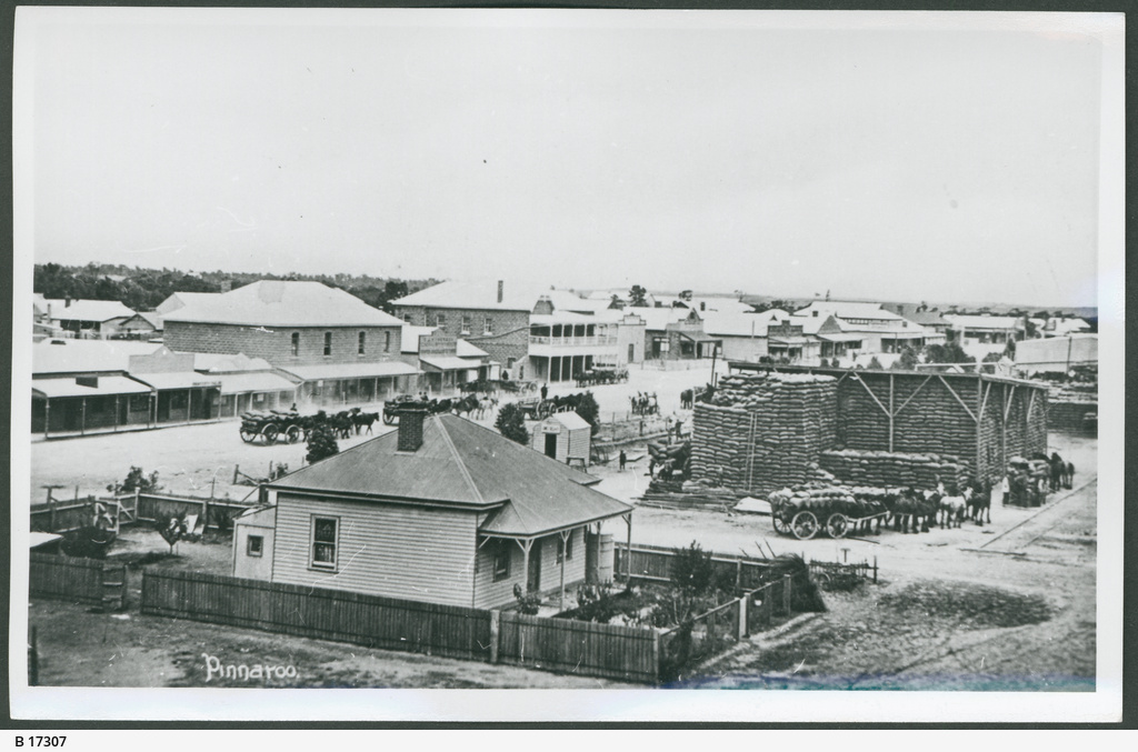 Pinnaroo • Photograph • State Library of South Australia