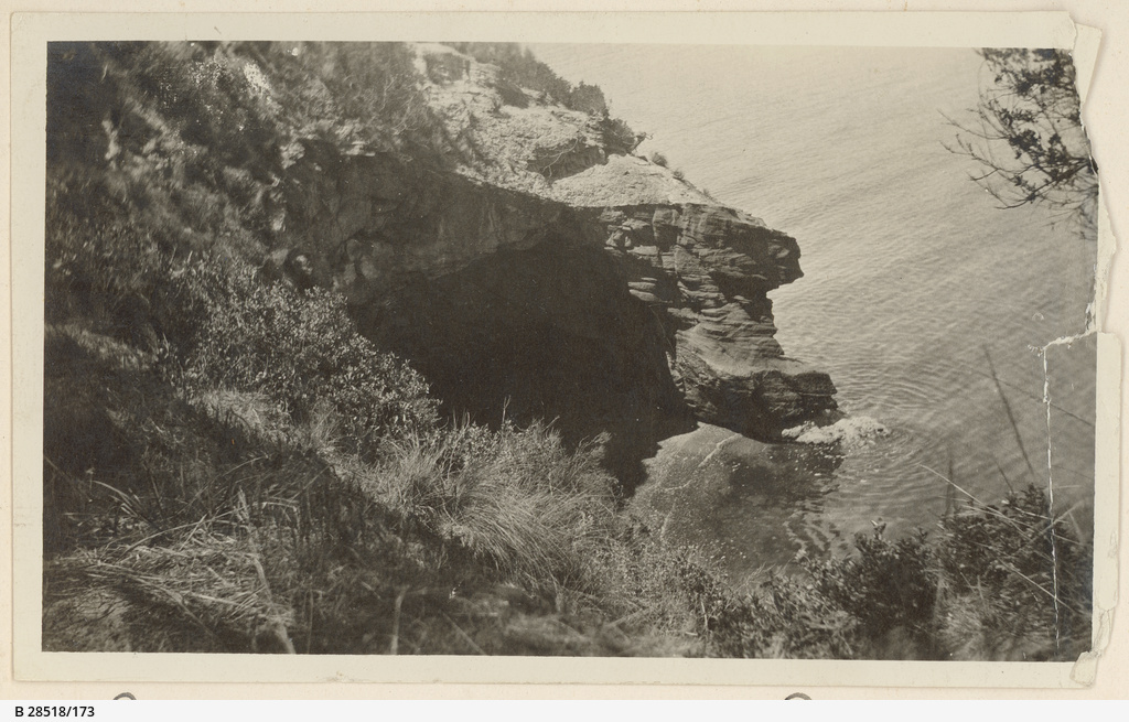 Cheltenham, Victoria • Photograph • State Library of South Australia