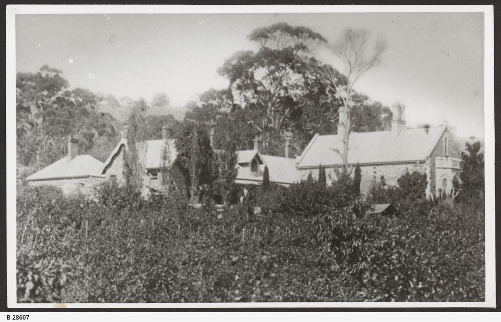 Netherby at Mitcham • Photograph • State Library of South Australia