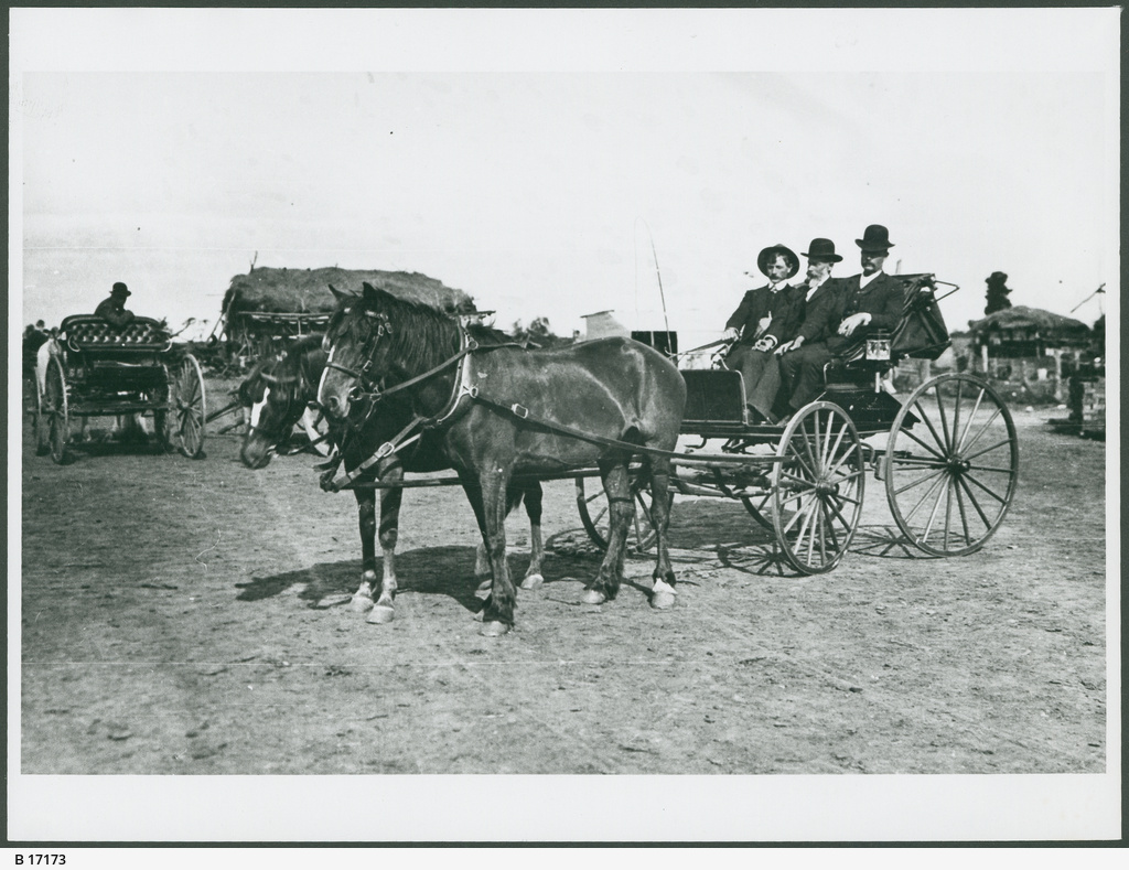 Pinnaroo • Photograph • State Library of South Australia