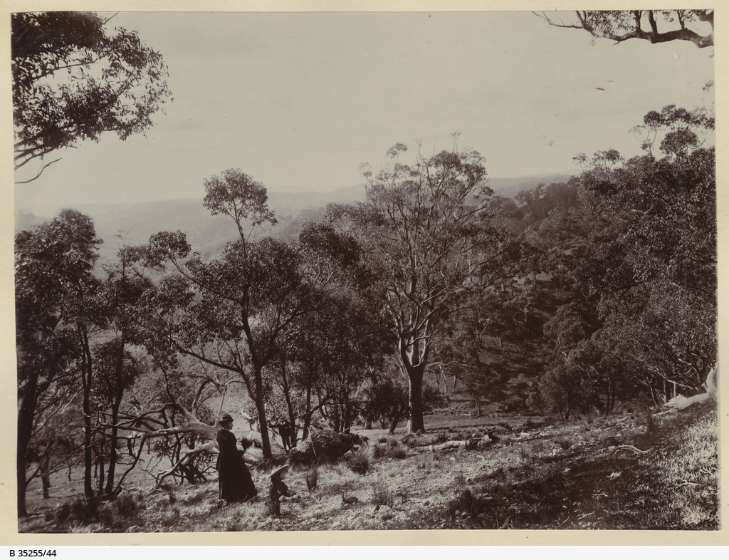 Mt. Tabor • Photograph • State Library of South Australia