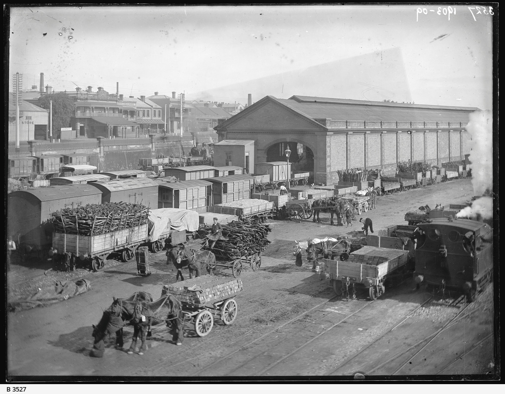 Railway Goods Yards • Photograph • State Library of South Australia