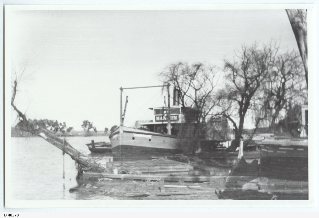 The "Mannum" at anchor • Photograph • State Library of South Australia