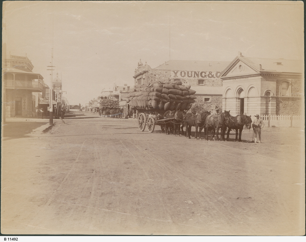 Port Augusta • Photograph • State Library of South Australia