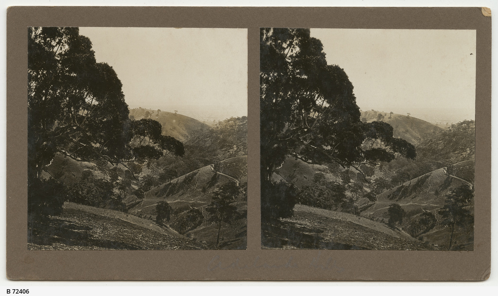 Adelaide Hills scene • Photograph • State Library of South Australia