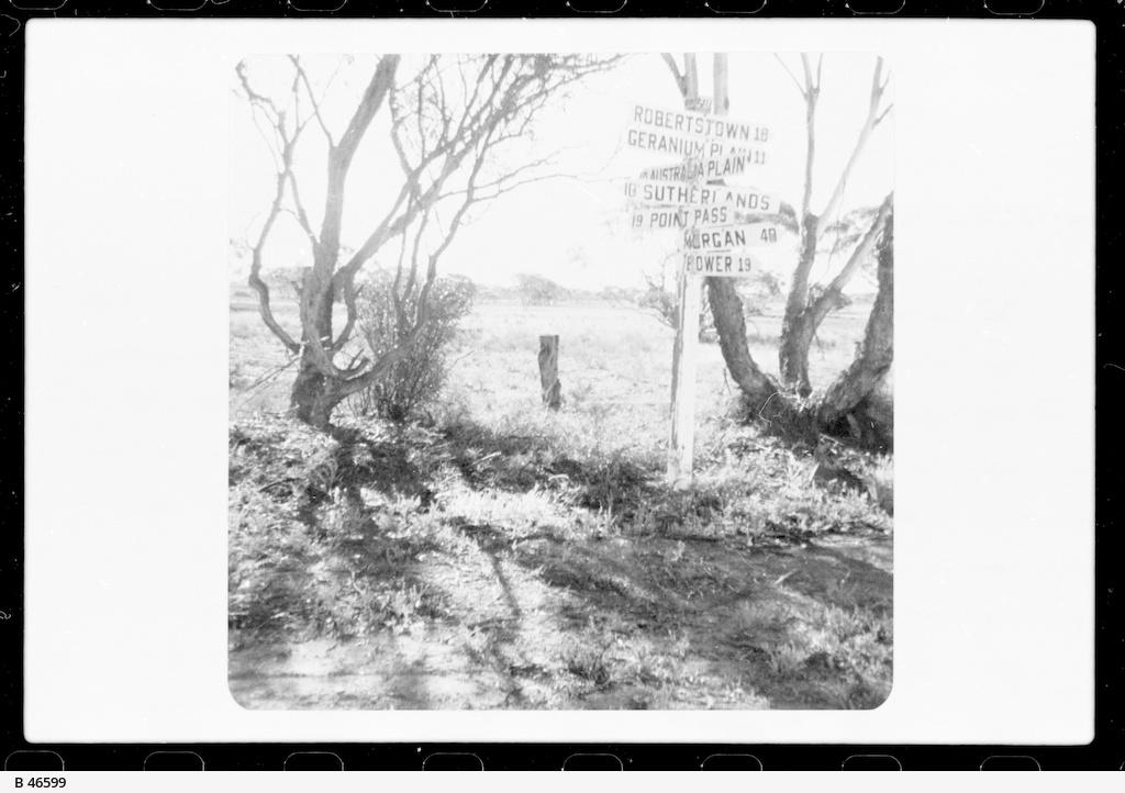 Bower Road, Robertstown • Photograph • State Library of South Australia