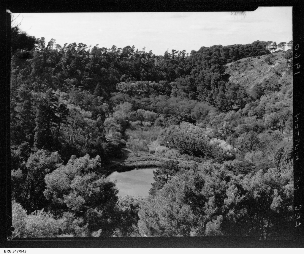 Leg of Mutton Lake • Photograph • State Library of South Australia