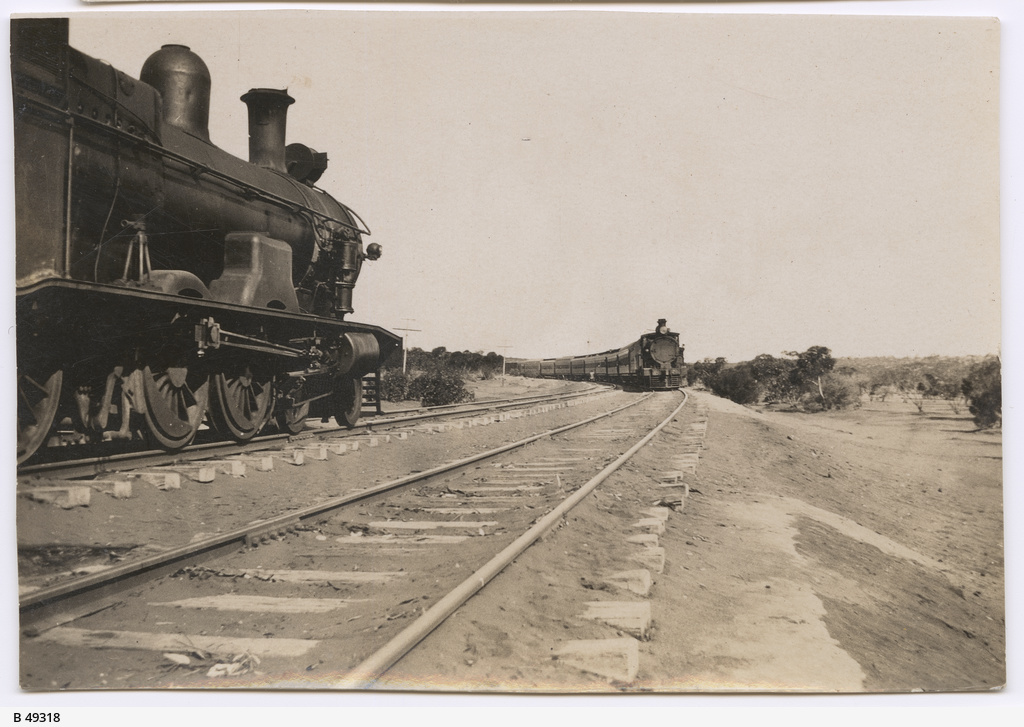 Train & Railway near Ooldea • Photograph • State Library of South Australia
