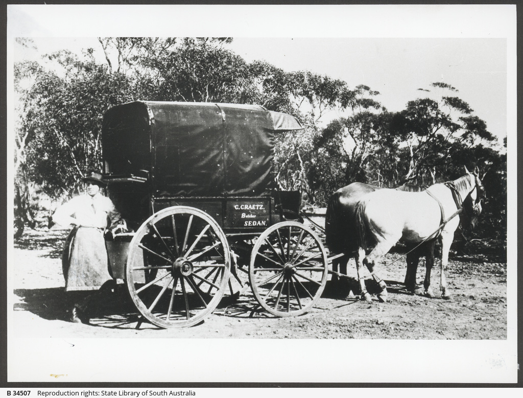 Butcher's Wagon, Sedan • Photograph • State Library of South Australia