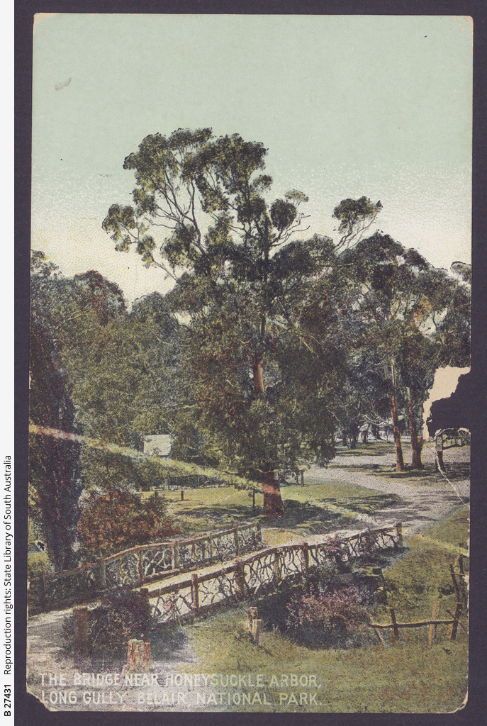 Long Gully, National Park • Photograph • State Library of South Australia
