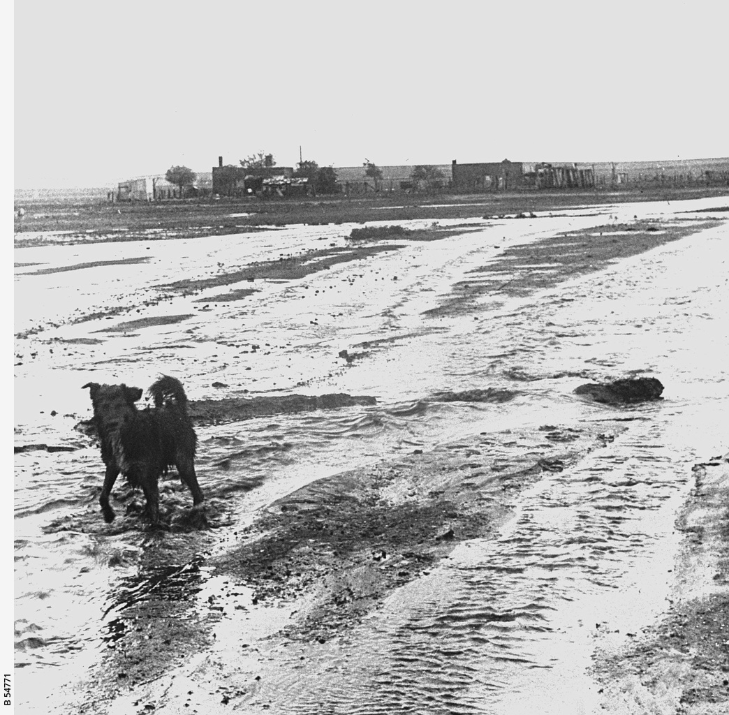 An isolated property • Photograph • State Library of South Australia