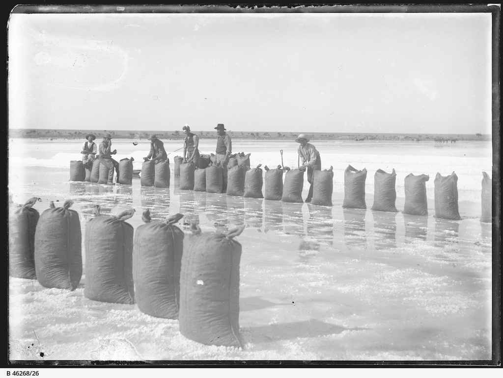 Lake Fowler Salt Workers • Photograph • State Library of South Australia