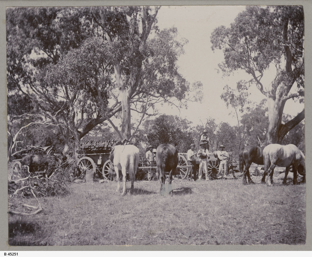 Freeling • Photograph • State Library of South Australia
